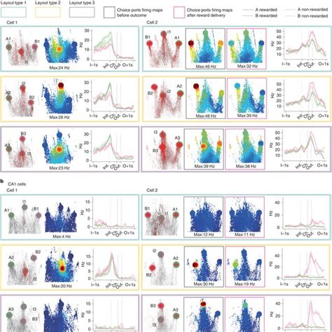 Example Neurons In Physical Space And Behavioral Task A Example Pfc Download Scientific