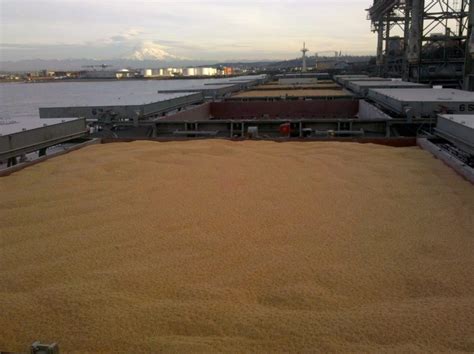 Grain Loading