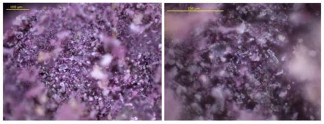 Microphotographs In Different Magnifications Original Magnification