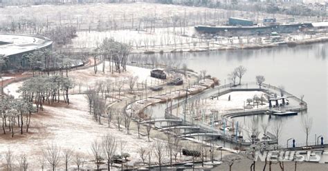 푸른뱀의 해… 해맞이 행사 떡국 나눔 함께해요
