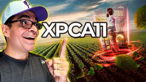 Xpca11 O Que VocÊ Precisa Saber Youtube
