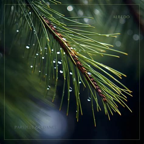 Particle Guidance Vinyl Records And Discography Vinyl Me Please