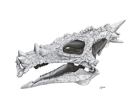 Dracorex Hogwartsia Skull Beach Sheet By Rick Adleman Pixels