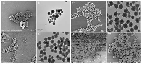 Nanomaterials Free Full Text Mesoporous Silica Nanoparticles With