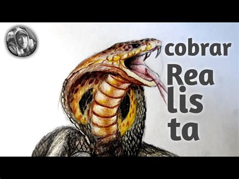 COMO FAZER UM DESENHO DE COBRA REALISTA Descubra As Vantagens E