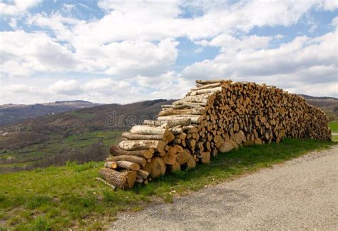 Catasta Di Legna In Un Giorno Soleggiato Vicino Ad Una Strada Sulle