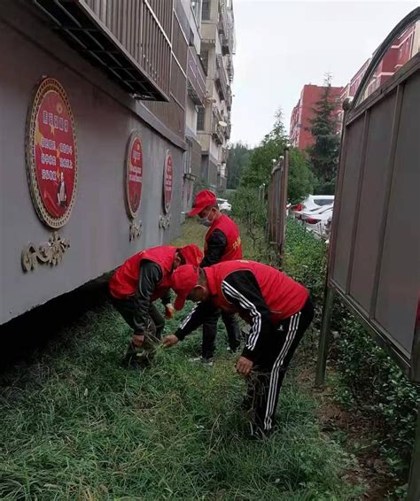 创建文明城，你我共参与——山城区人民 法院积极参与全国文明城市创建活动澎湃号·政务澎湃新闻 The Paper