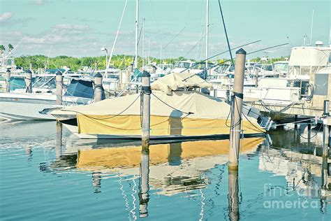 Marina Reflections Photograph By Sharon Mau Fine Art America