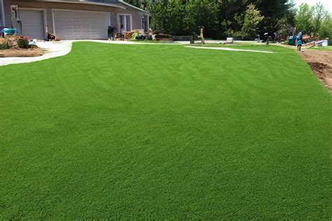 How To Prepare For Laying Sod The Ultimate Guide — Dream Homes And Gardens