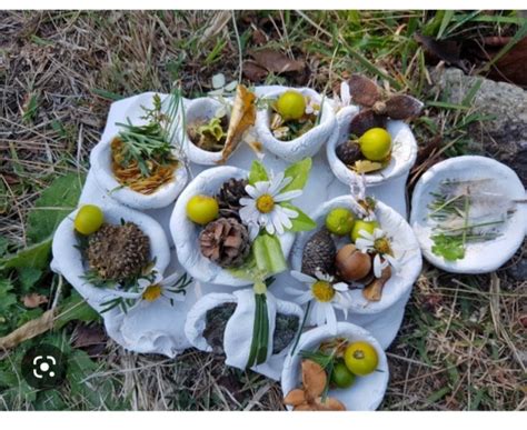 열매밥상 자연물 밥상 차리기숲체험생태교육 네이버 블로그