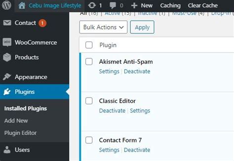 Best Plugin To Transfer WordPress Website To Another Website Cebu Image