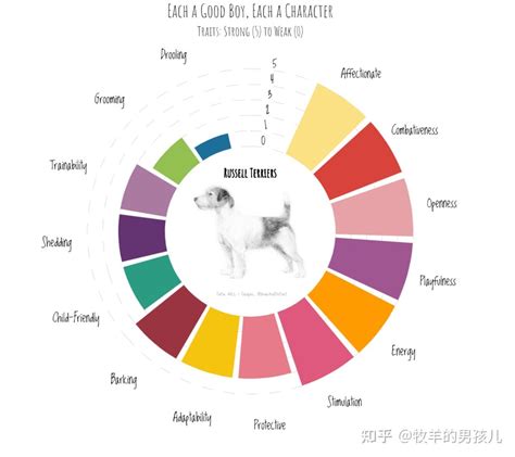 R语言ggplot2画漂亮的环形柱形图的一个实例 知乎