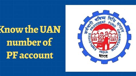 How To Know Your Uan Number Online A Step By Step Guide Sprintally®