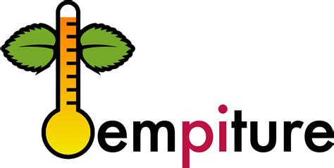 Download A Raspberry Pi Powered Wireless Grilling Thermometer System