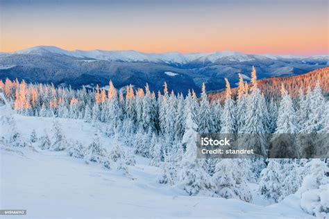 환상적인 겨울 풍경입니다 서리가 하루 산에서 마술 일몰입니다 에 휴일의 이브 극적인 장면입니다 카 르 파티 아 우크라이나 유럽입니다 새해 복 많이 받으세요 가리기에 대한