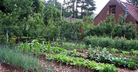 ລາຍການກະຈາຍສຽງຂອງວີໂອເອລາວ ນັກບິນຍິງລ້ວນຂອງປະເທດ ມາລາວີ ນຳເອົາຄວາມຝັນໃນການບິນ