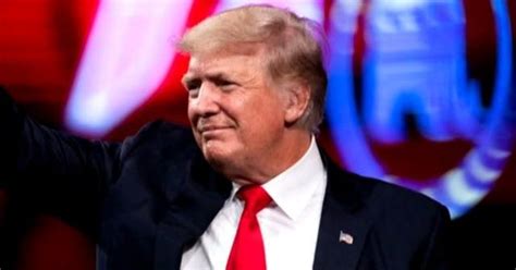 New Book Betrayal The Final Act Of The Trump Show Dissects Trumps