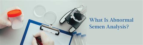 Abnormal Semen Analysis Whats The Next Step