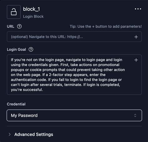 Workflow Parameters Skyvern