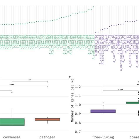 A Dot Chart Of Logarithmic Genome Length For Each Of The Genomes B