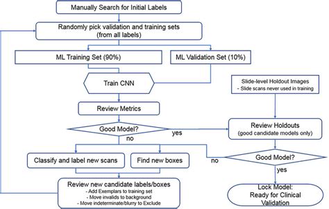 Flow Chart Summary Of Training Iterations For Cnn Ml Machine