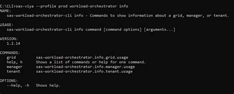 Sas Viya Workload Orchestrator Cli Plug In Proc