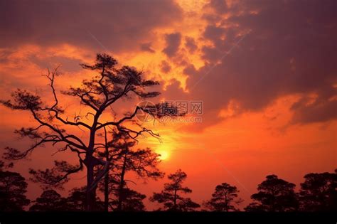 夕阳西下高清图片下载 正版图片600310956 摄图网