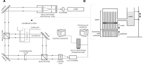 Scheme Of The Experimental Setup A For Interferometric Investigations