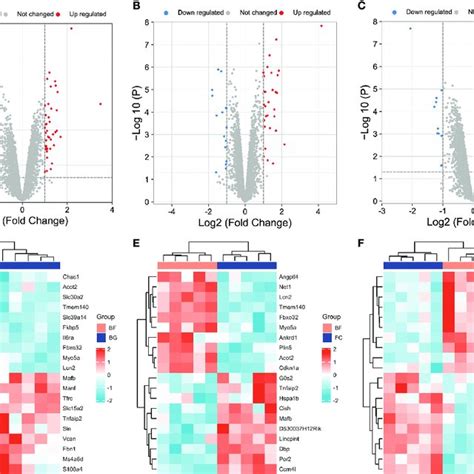 Identification Of Differentially Expressed Genes Degs Among Different