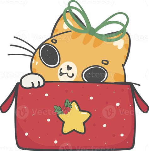 Mignon Chaton Coquin De Noël Races De Chat Avec Cadeau Présent Boîte
