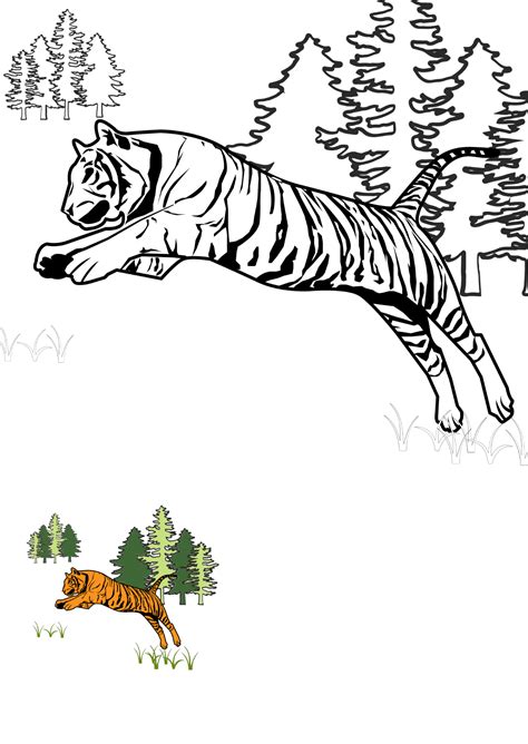 Free Tiger Full Body Coloring Page Template To Edit Online Free Tiger Full Body Coloring Page Template To Edit Online