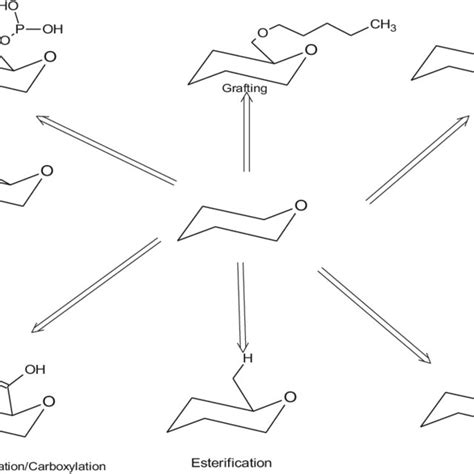Showing The Ways Of Chemical Modification Download Scientific Diagram