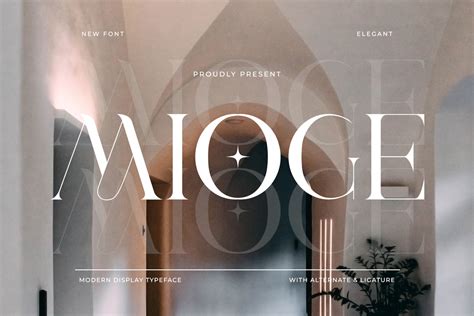 Mioge Font Typefactory FontSpace