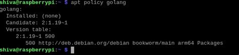 How To Install Latest Version Of Go On The Raspberry Pi Metalop