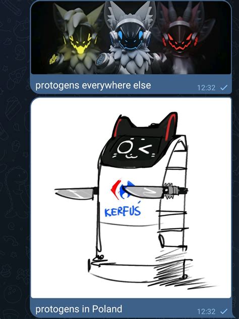 Poland Irl R Furry Irl