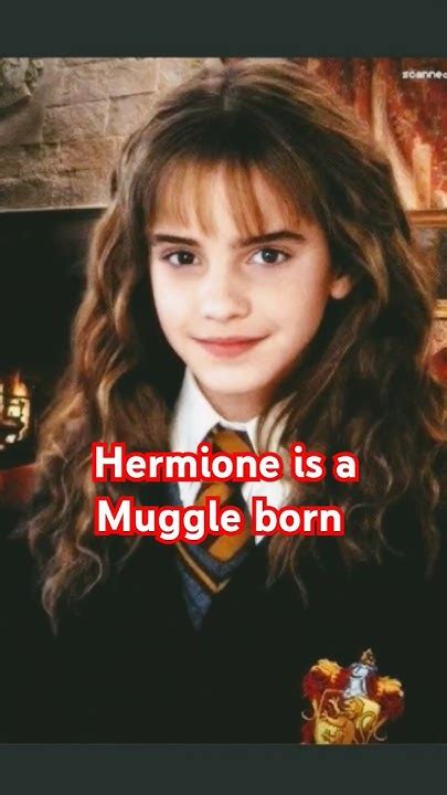 Why Snape Hated The Golden Trio Harrypotter Hermionegranger