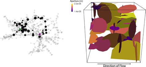 Left Graph Representation Of The Network Backbone The Size Of The Download Scientific