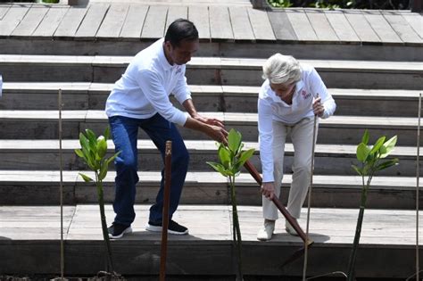 Jokowi Ajak Tanam Mangrove Jadi Kunci Ciptakan Bali Leaders Declaration Kumparan