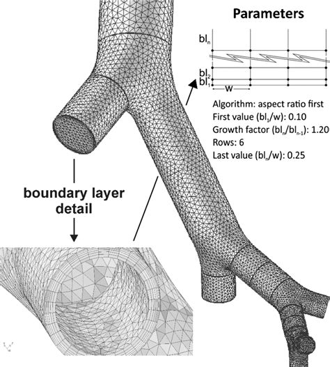 Surface Meshes At Some Branches And A Detail Of The Boundary Layer Mesh Download Scientific
