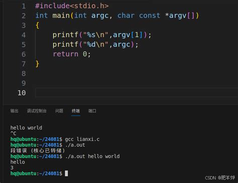 C语言学习：913 Day08数组指针、指针数组、函数 Csdn博客
