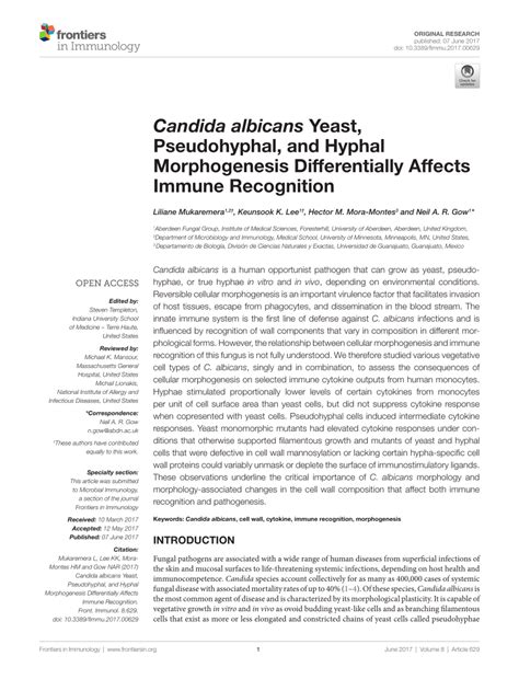 Pdf Candida Albicans Yeast Pseudohyphal And Hyphal Morphogenesis Differentially Affects