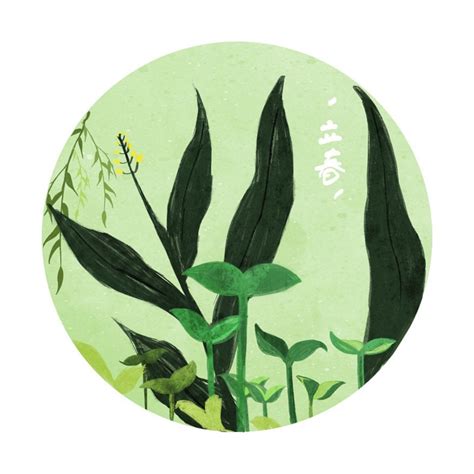 啊啊啊喵星人 二十四节气立春 堆糖美图壁纸兴趣社区