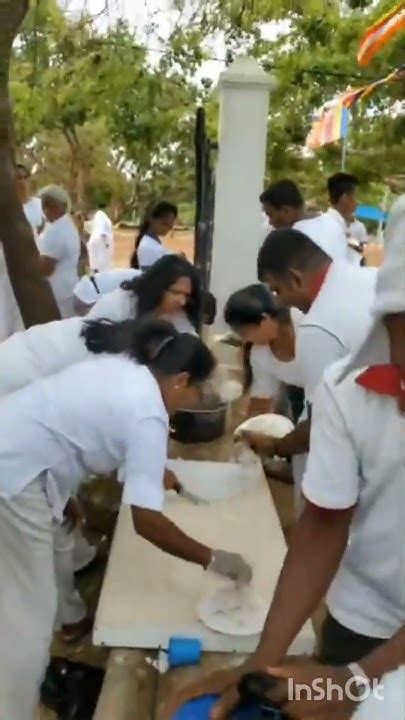 ශ්‍රී මහා බෝධීන් වහන්සේ අසල දුන් කිරි බත් දන්සැල🙏 සැමට අනුමෝදන් වේවා Youtube