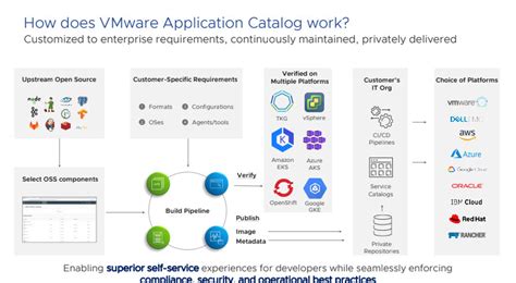 Vmware Application Catalog Angry Admin