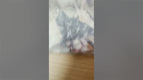 포포 Youtube