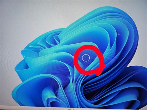 컴퓨터 화면에 표시 지식in