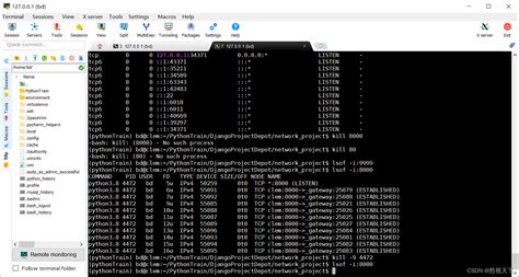 Liunx杀死端口占用的进程linux杀死占用端口的进程 Csdn博客