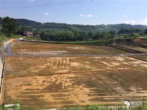 盘活荒废闲置土地 加快新农村建设步伐行业动态自然资源