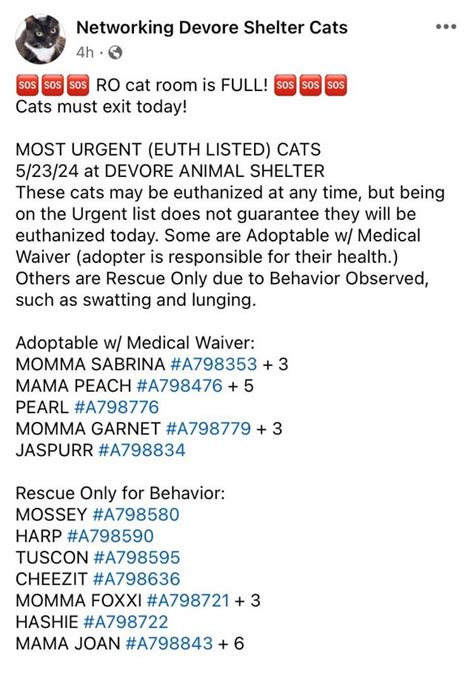 ‼️🆘urgent All Euth Listed And Must Exit Asap So Sorry Im Just Trying