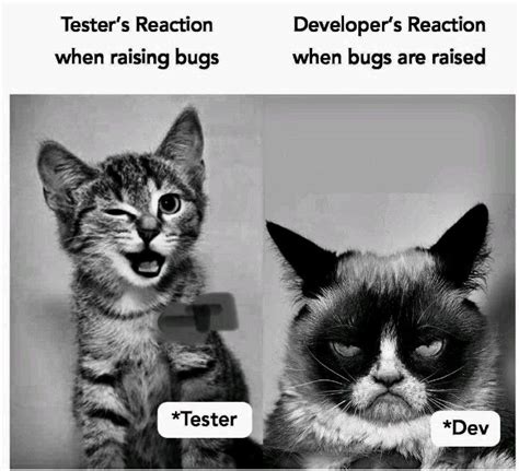 wafula allan on linkedin engineers those bugs that you probably forgot to test will always come…
